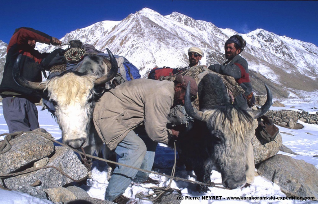 Shimshal Minglik Sar and Chafchangol Pass - Adventure Tours Pakistan